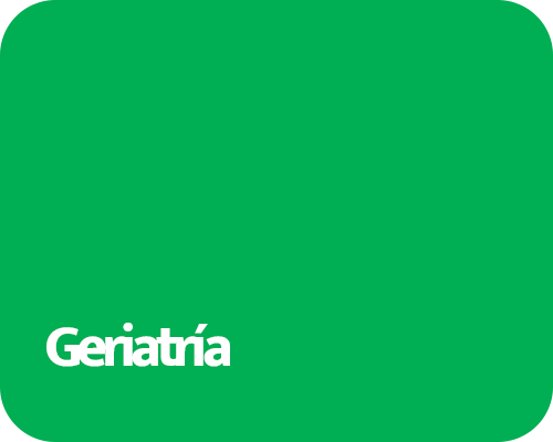 Servicios - ASHONPLAFA